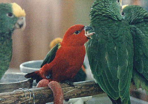 sweet, sweet nectar | MetaFilter